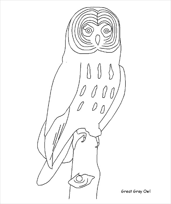 Owl Shape Template - 37+ Free PDF, Crafts & Coloring Documents Download