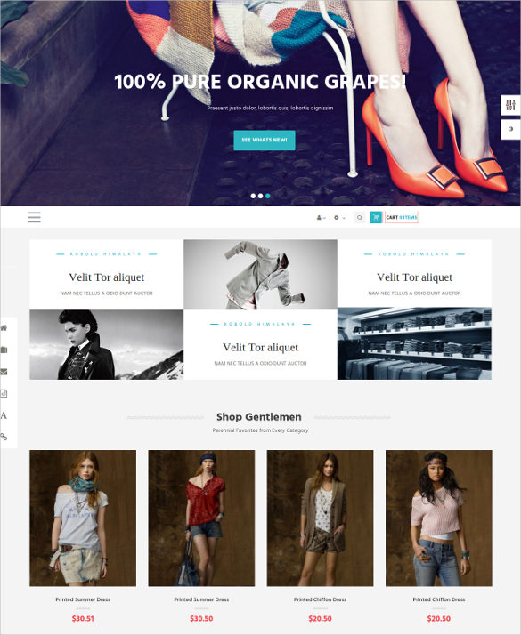 Clothe Store Website Templates & Themes | Free & Premium