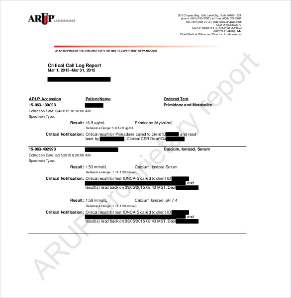 26+ Call Report Templates - PDF, Word, Pages