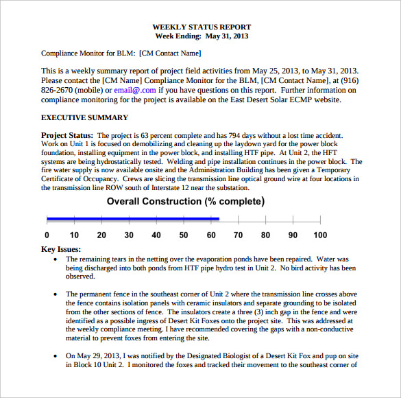 36+ Weekly Activity Report Templates - PDF, DOC