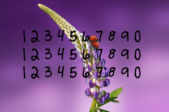 30+ Number Fonts - TTF, OTF