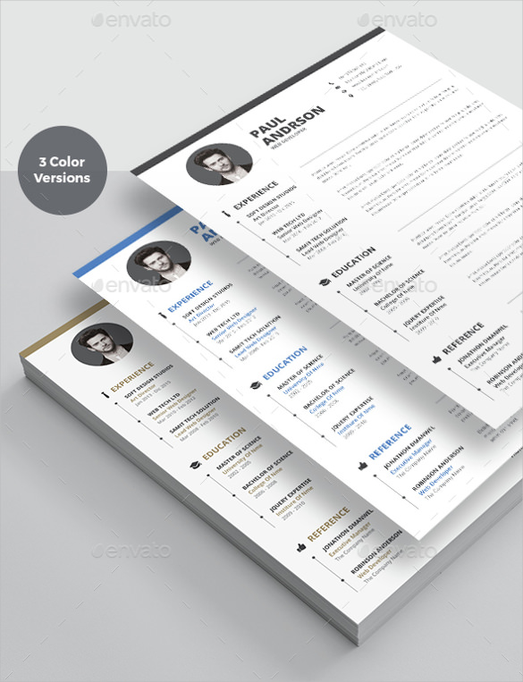 26+ Word Professional Resume Template - Free Download