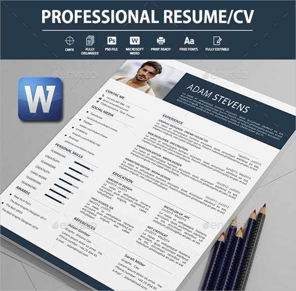 26+ Word Professional Resume Template - Free Download