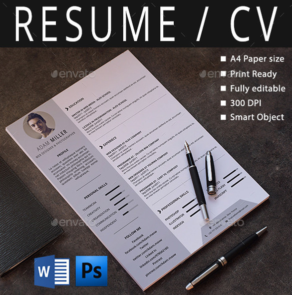 26+ Word Professional Resume Template - Free Download