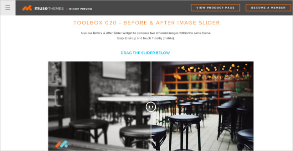 21+ Free Muse Themes & Templates | Free & Premium Templates