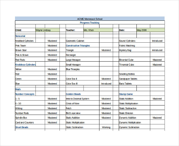 Progress Tracking Template – 11+ Free Word, Excel, PDF Documents Download!