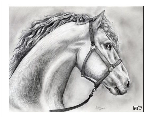 20+ Awesome Drawings That will Inspire You in 2023 | Free & Premium ...