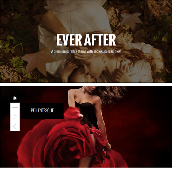 33+ Concrete5 Themes & Templates