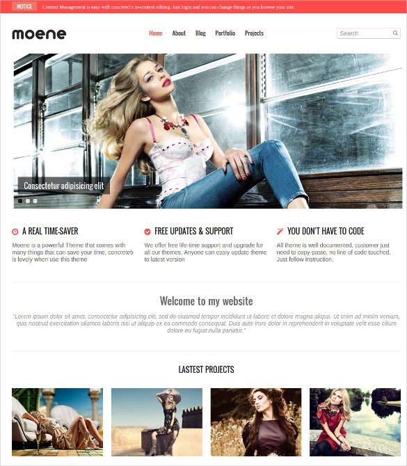 33+ Concrete5 Themes & Templates