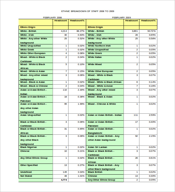 24+ Board Report Templates in PDF | MS Word | Apple Pages | Google Docs