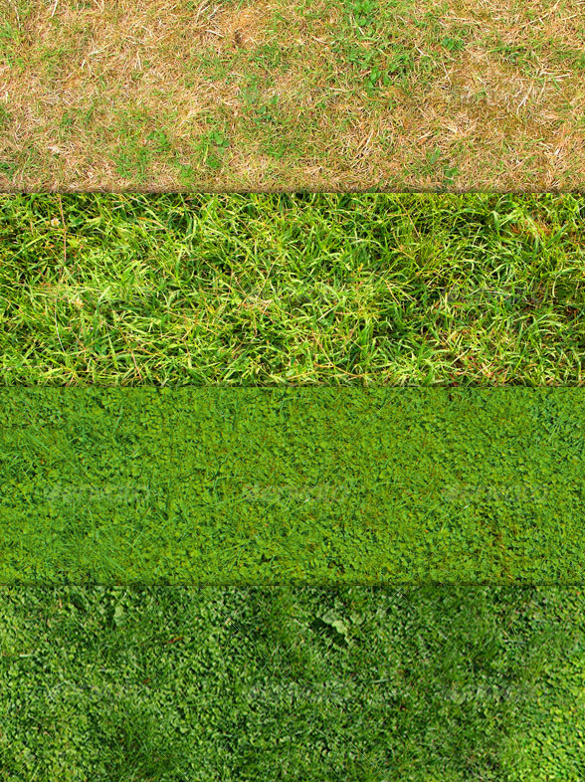 Grass Textures – 30+ Free JPG, PNG, PSD, AI, Vector EPS Format Download