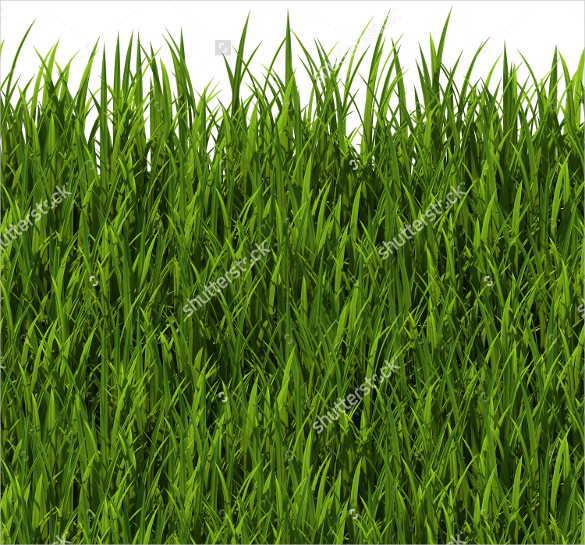Grass Textures – 30+ Free JPG, PNG, PSD, AI, Vector EPS Format Download