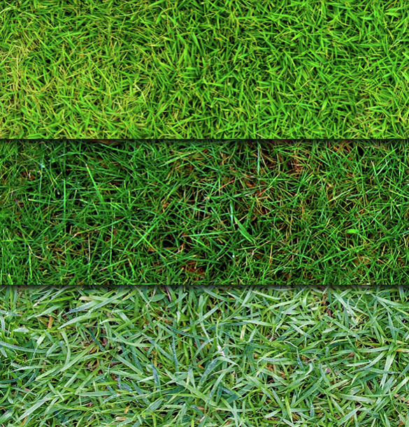 Grass Textures – 30+ Free JPG, PNG, PSD, AI, Vector EPS Format Download