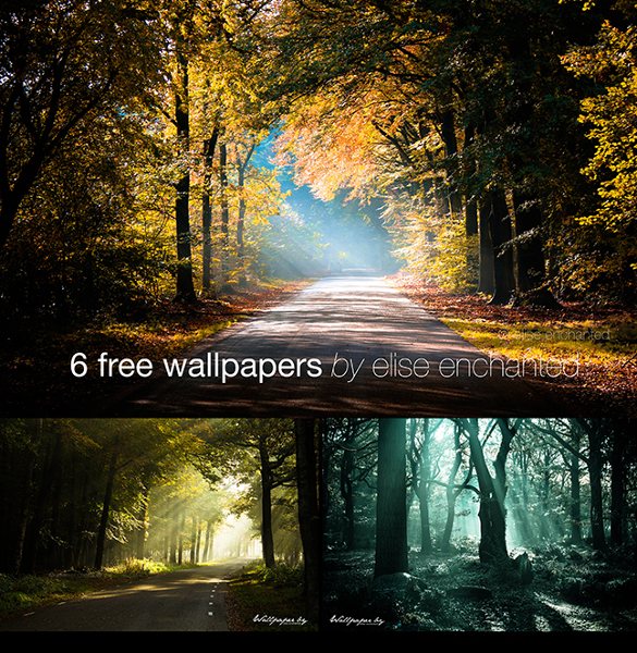 Nature Wallpapers – 40+ Free JPG, PNG, PSD, AI, Vector EPS Format Download
