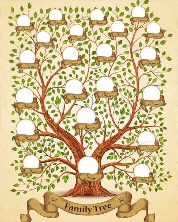50+ Family Tree Templates - Free Sample, Example, Format