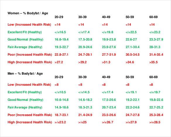 Body Fat Chart Templates – 6+ Free Excel, PDF Documents Download