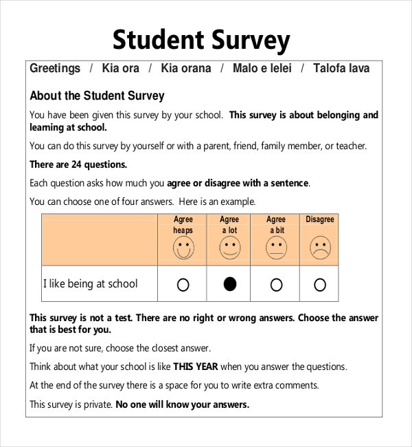 19 Student Survey Templates Free Sample Example Format Download 