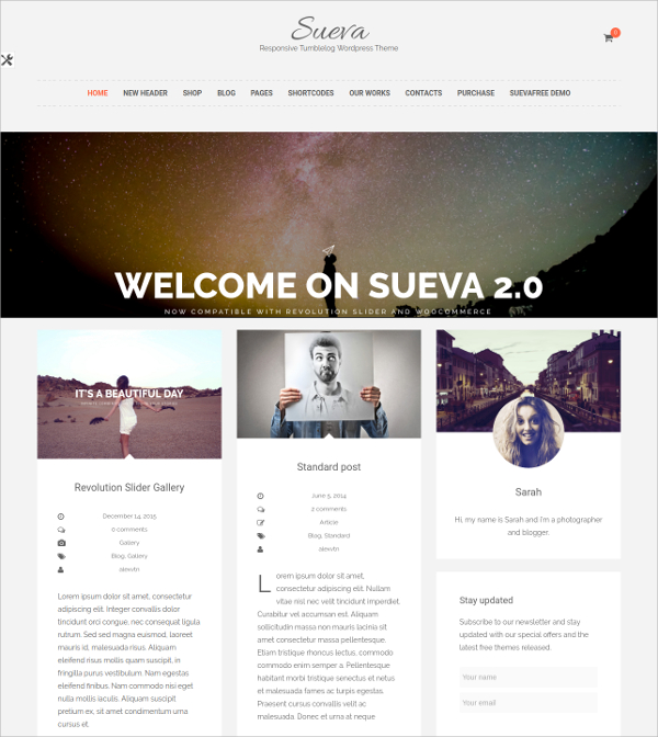 23+ Free WordPress Blog Themes & Templates