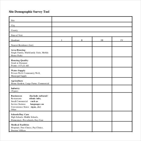 10+ Demographic Survey Templates – PDF, Word, Excel