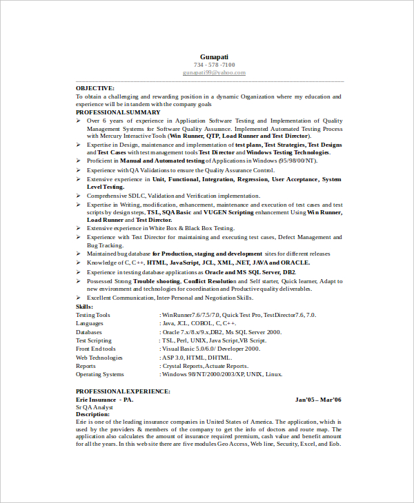 Software Engineer Resume Template 20 Free Word PDF Documents Download