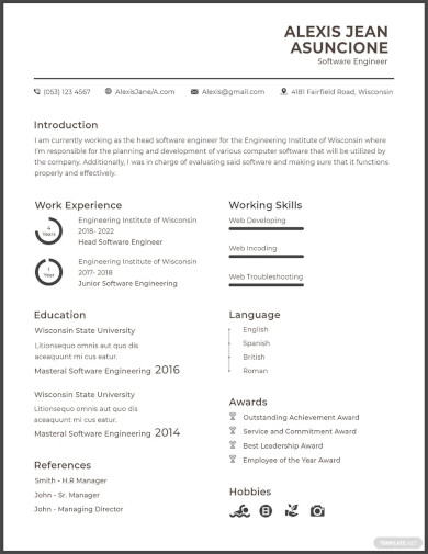 Software Engineer Resume Templates - Free 20+ Word, PDF Documents Download