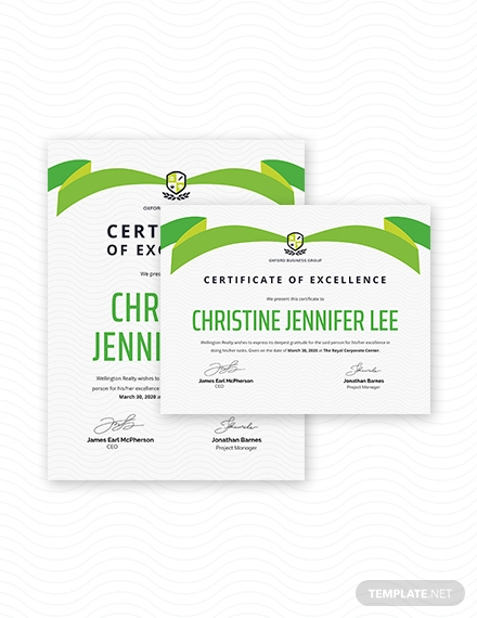 Excellence Certificate Template - 24+ Word, PDF, PSD Format Download
