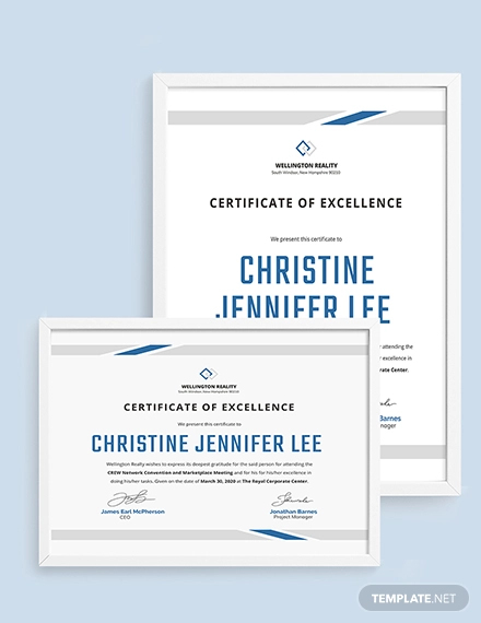 Excellence Certificate Template - 24+ Word, PDF, PSD Format Download