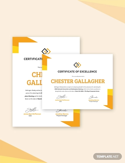 Excellence Certificate Template - 24+ Word, PDF, PSD Format Download