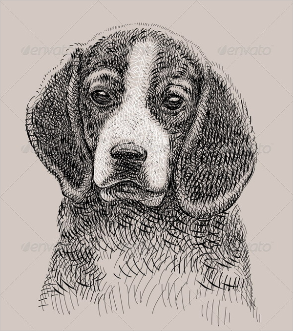 24+ Animal Drawing Templates - Free PSD, AI, EPS Format Download