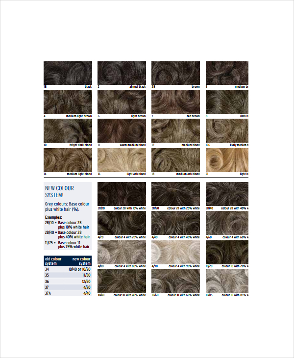 Hair Color Chart Template – 9+ Free Word, PDF Documents Download