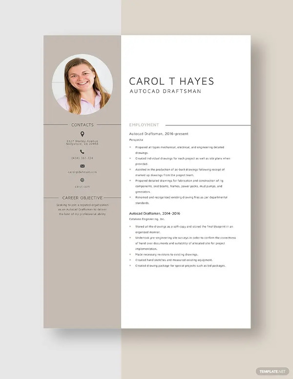 9+ Draftsman Resume Templates - Free Word, PDF Document Downloads