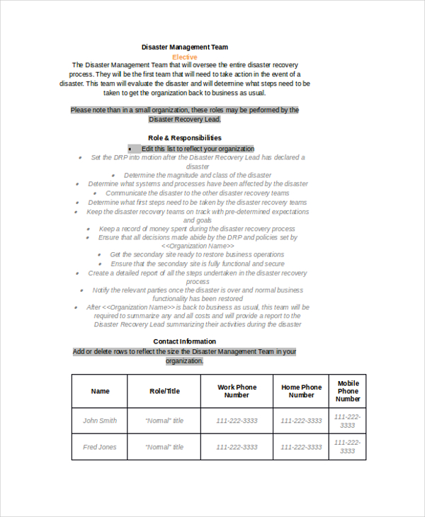 10+ Project Overview Templates - Free Word, PDF Documents Download