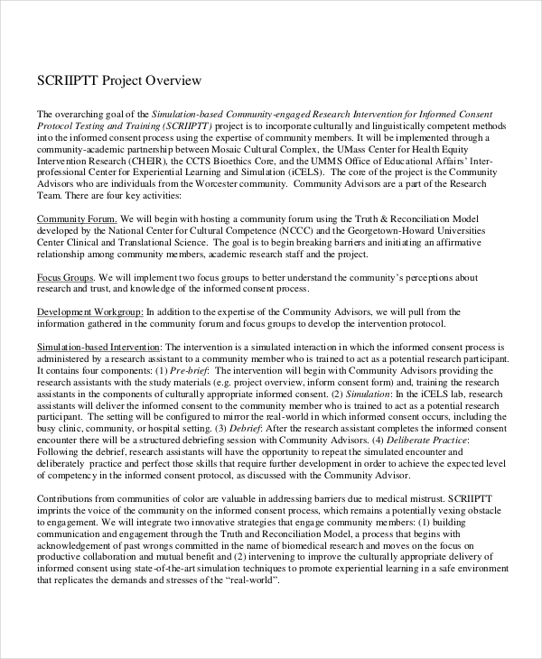 10+ Project Overview Templates - Free Word, PDF Documents Download