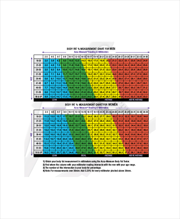 Body Fat Percentage Chart 6 Free PDF Documents Download Body Fat Percentage Chart 6 Free PDF Documents Download