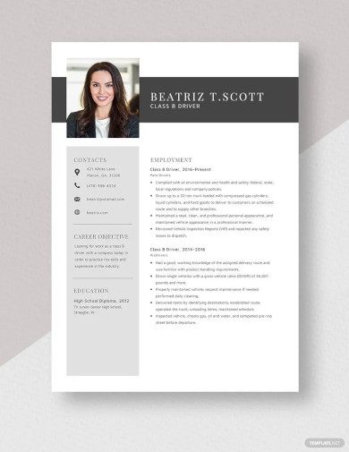 Driver Resume Template - 27+ Free Word, PDF Document Downloads