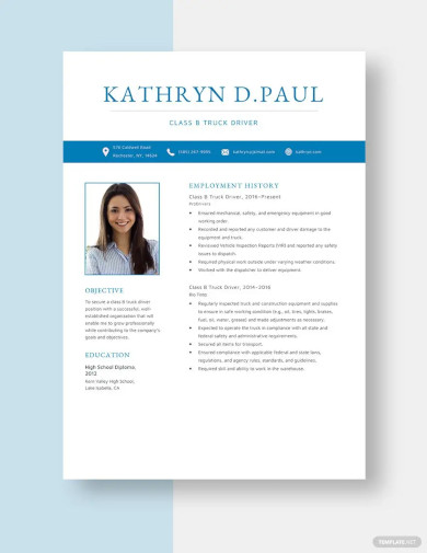 Driver Resume Template - 27+ Free Word, PDF Document Downloads
