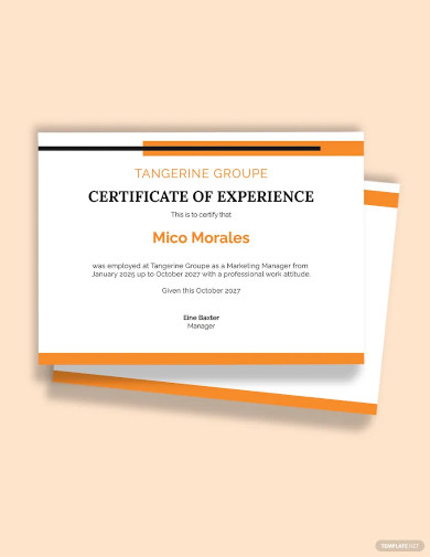 36+ Experience Certificate Templates - PDF, Google Docs, AI, Word, InDesign