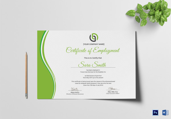 27+ Sample Certificate of Employment Templates - PDF, DOC, PSD, AI ...
