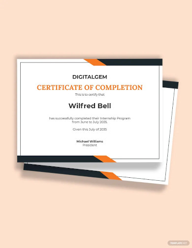 36+ Experience Certificate Templates - PDF, Google Docs, AI, Word, InDesign