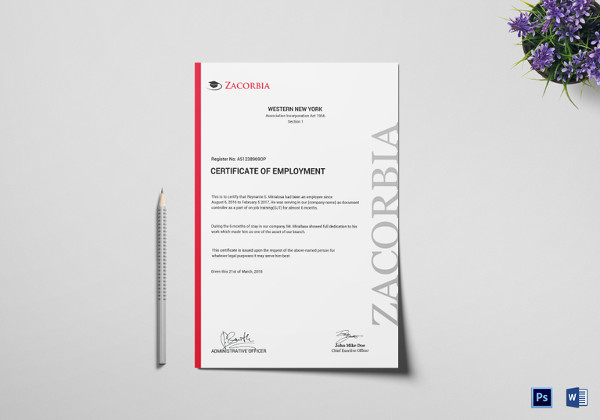 18+ Work Certificate Templates Word | Pages | Indesign | Illustrator ...