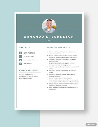Pilot Resume Template - 7+ Free Word, PDF Document Downloads