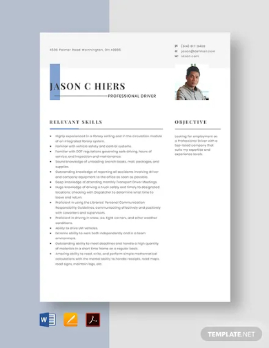Driver Resume Template - 27+ Free Word, PDF Document Downloads