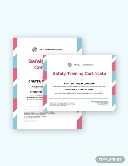 12+ Safety Certificate Template - Word, PDF, PSD, AI, InDesign Document ...