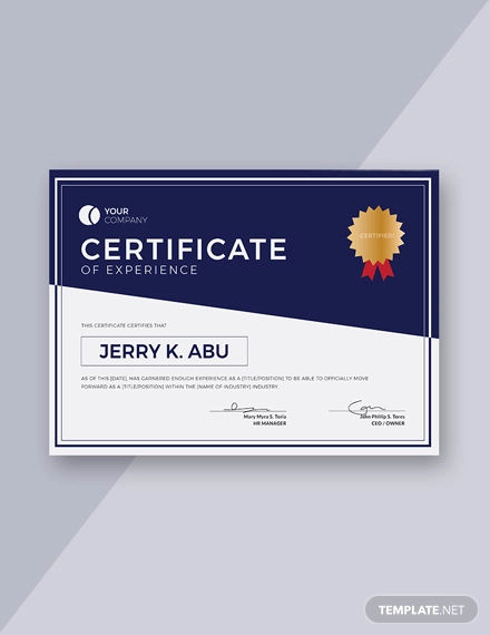 36+ Experience Certificate Templates - PDF, Google Docs, AI, Word, InDesign