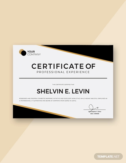 36+ Experience Certificate Templates - PDF, Google Docs, AI, Word, InDesign