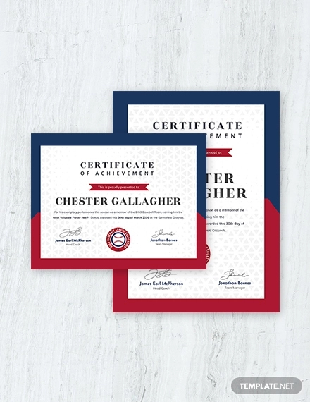 Baseball Certificate Template 8 PDF Word AI InDesign Document 
