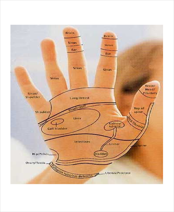 11+ Reflexology Chart Templates - Free Sample, Example, Format