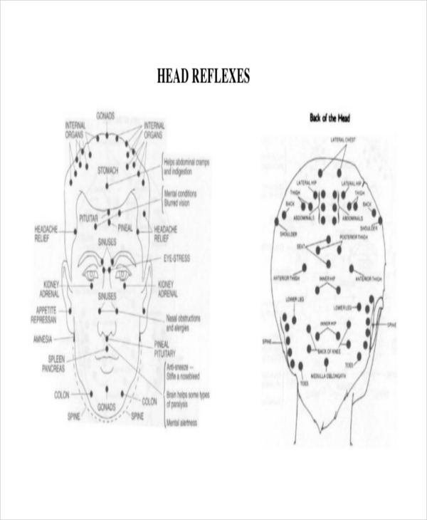11+ Reflexology Chart Templates - Free Sample, Example, Format