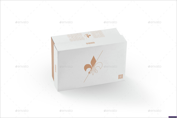 13+ Shoe Box Templates - Free PSD, AI, EPS Format Download