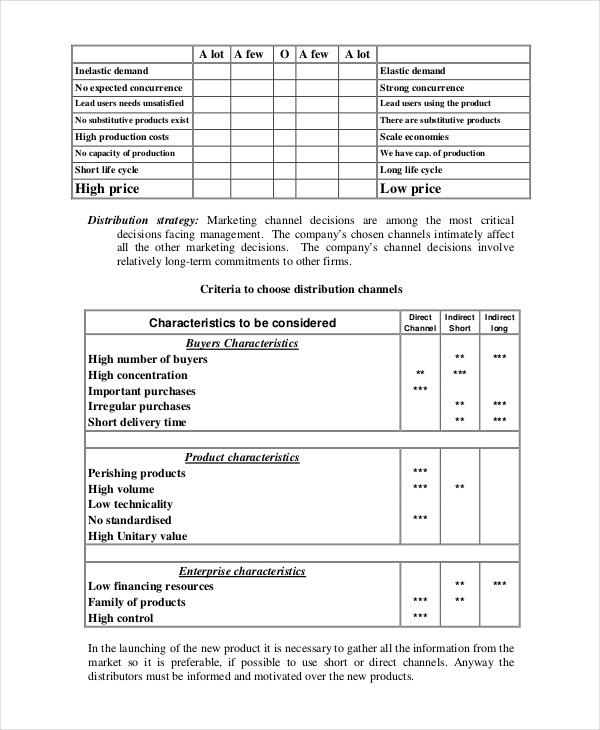 Product Launch Plan Template 11 Free Word PDF Document Downloads